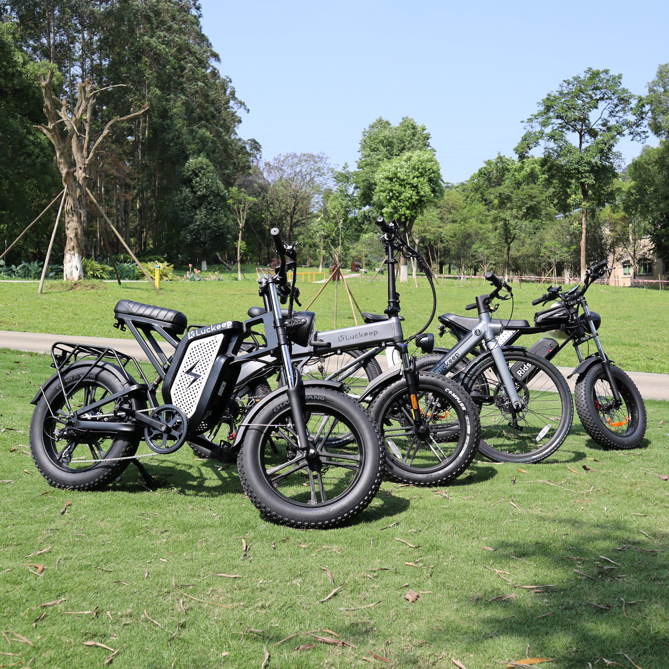 Luckeep Electric Bicycle