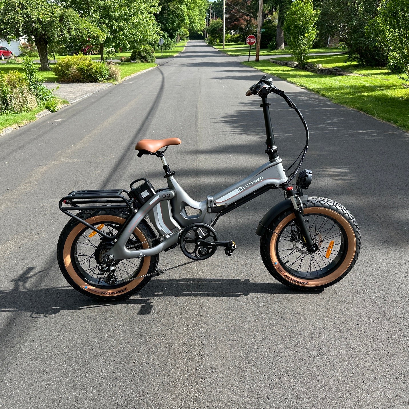Luckeep X1 Pro Foldable 20" All-terrain Fat Tire Electric Bike